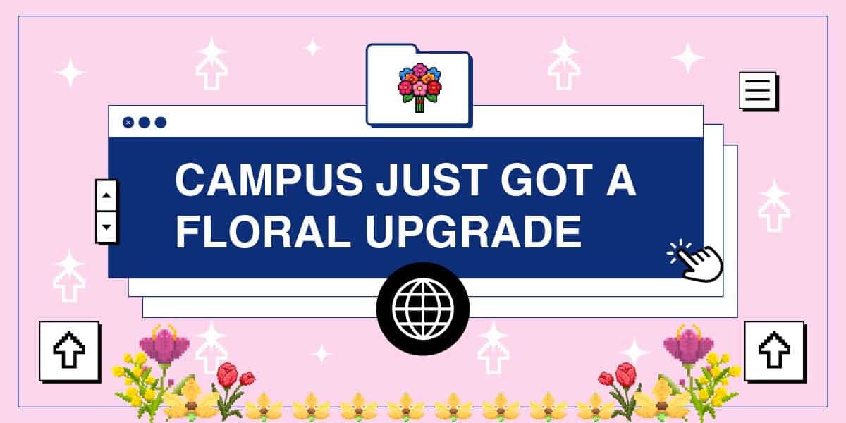Dorm Room Glow-Ups to Graduation Day Brilliance: Blooms That Brighten ...